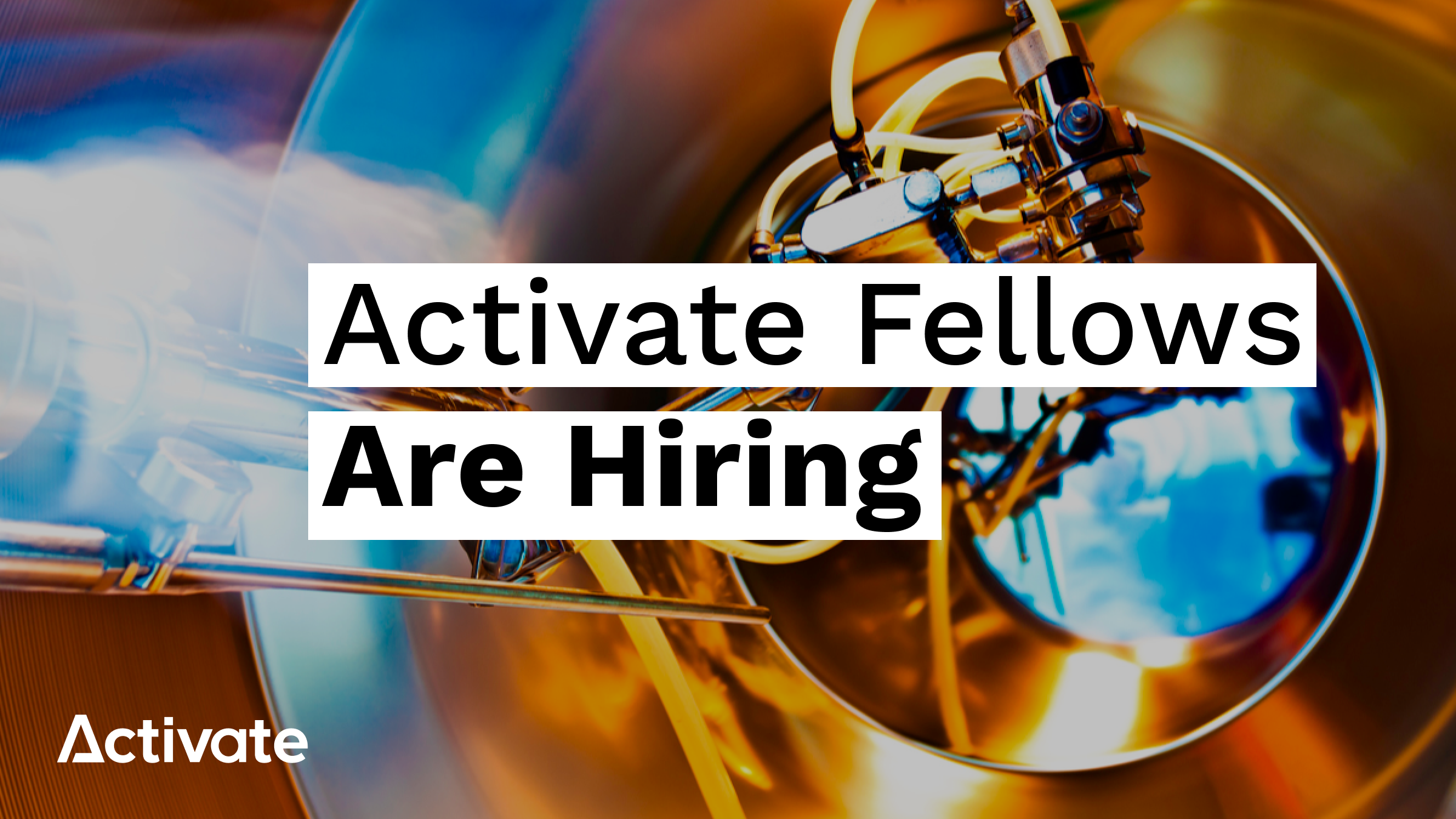 Activate Updates: January 2026